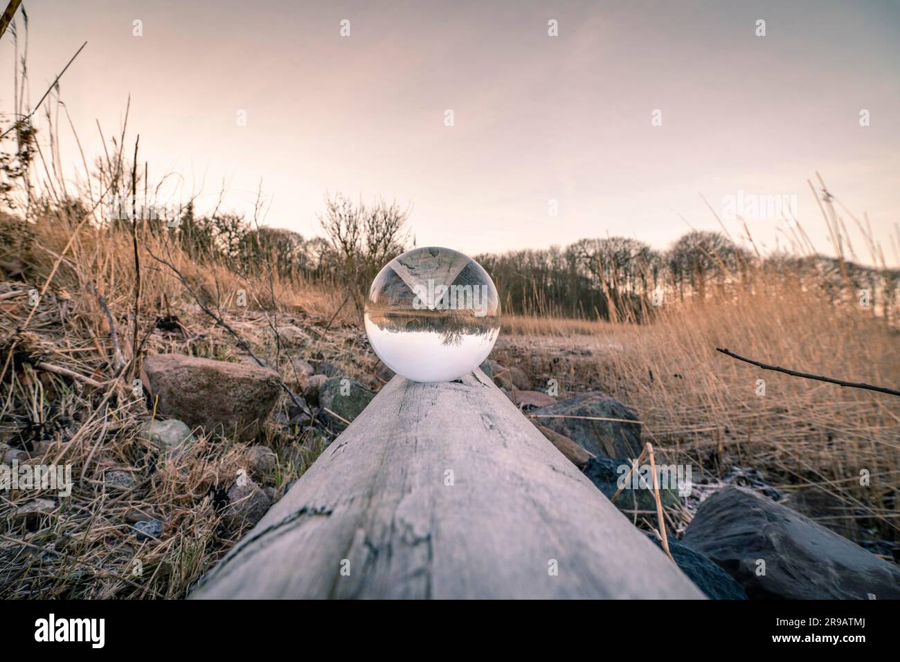Crystal ball on a log hi-res stock photography and images - Alamy