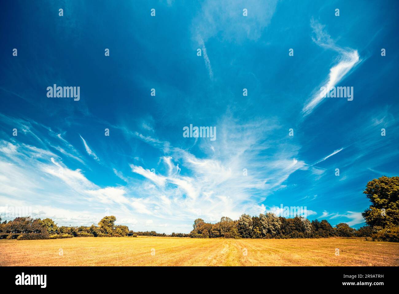 Countryside landscape with a dramatic blue sky over dry fields in the ...
