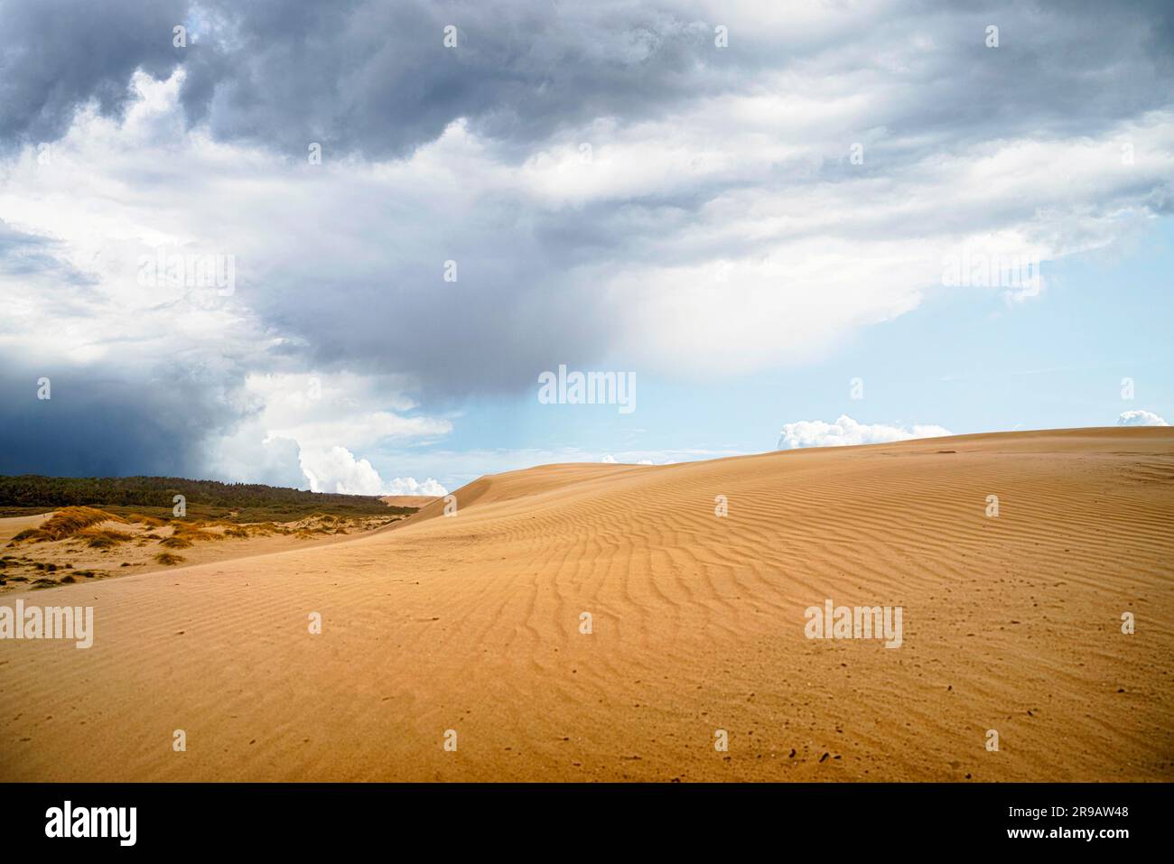 Sand dune in a desert with dark clouds coming in over the dry land ...
