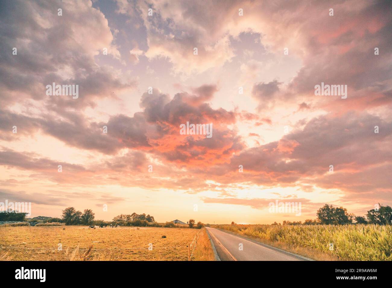 Rural sunset with an asphalt road crossing a countryside landscape with ...
