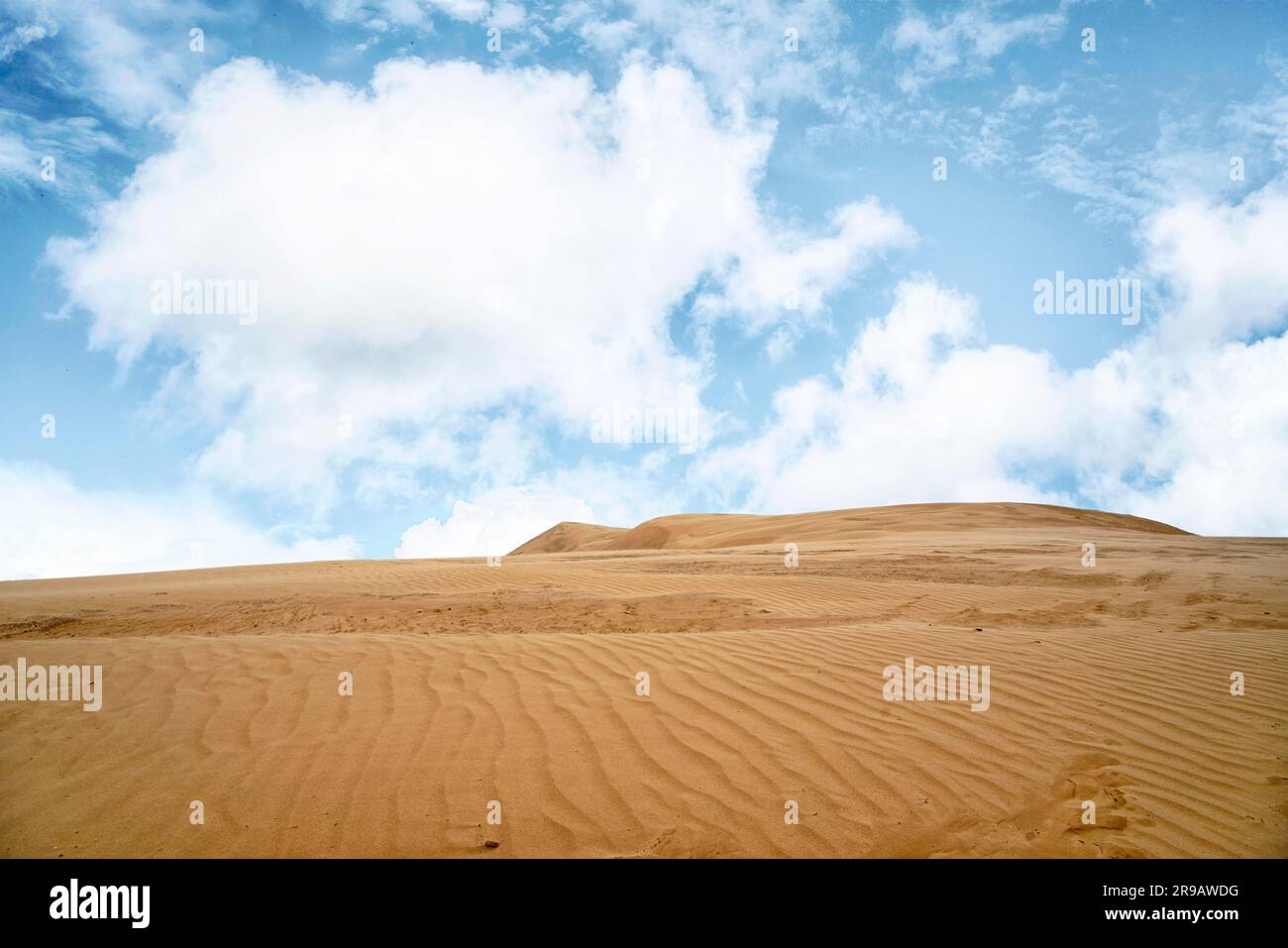 Desert with sand ripples under a blue sky in a very dry environment ...