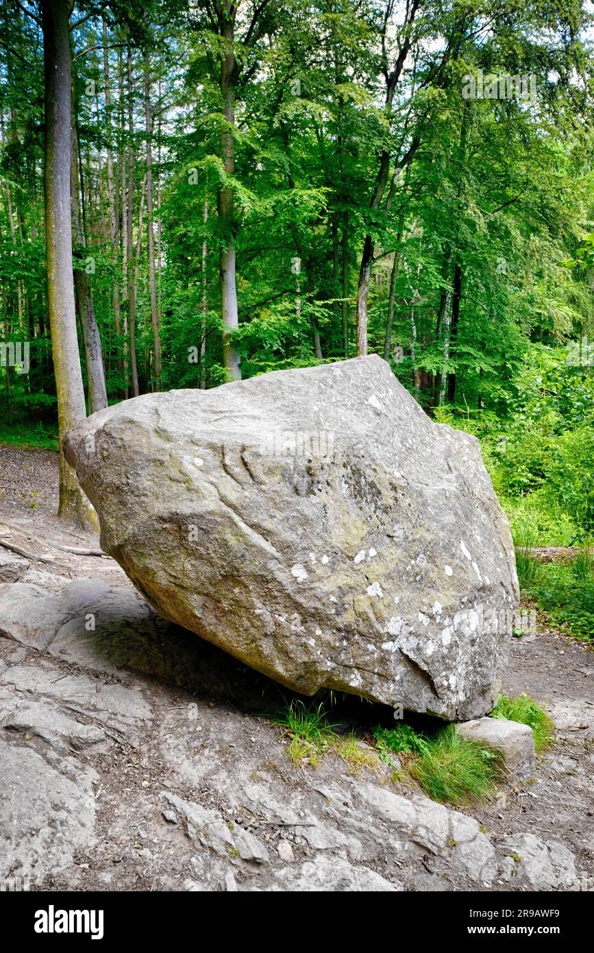 Large rock in a green forest in the summer with solid ground under the ...