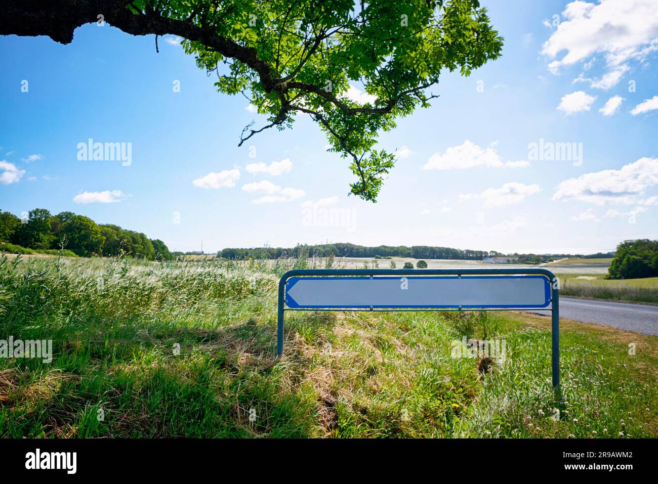 Road sign with an arrow in idyllic nature under a green tree in the ...