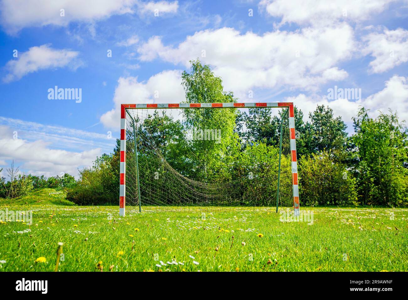 Old handball goal with a broken net on a green lawn in the summer with ...