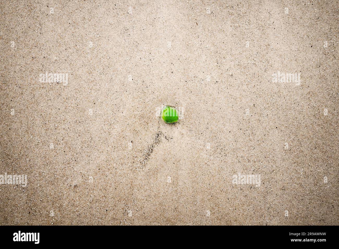 Green sanded glass in the water on a beach washed up on the shore in ...