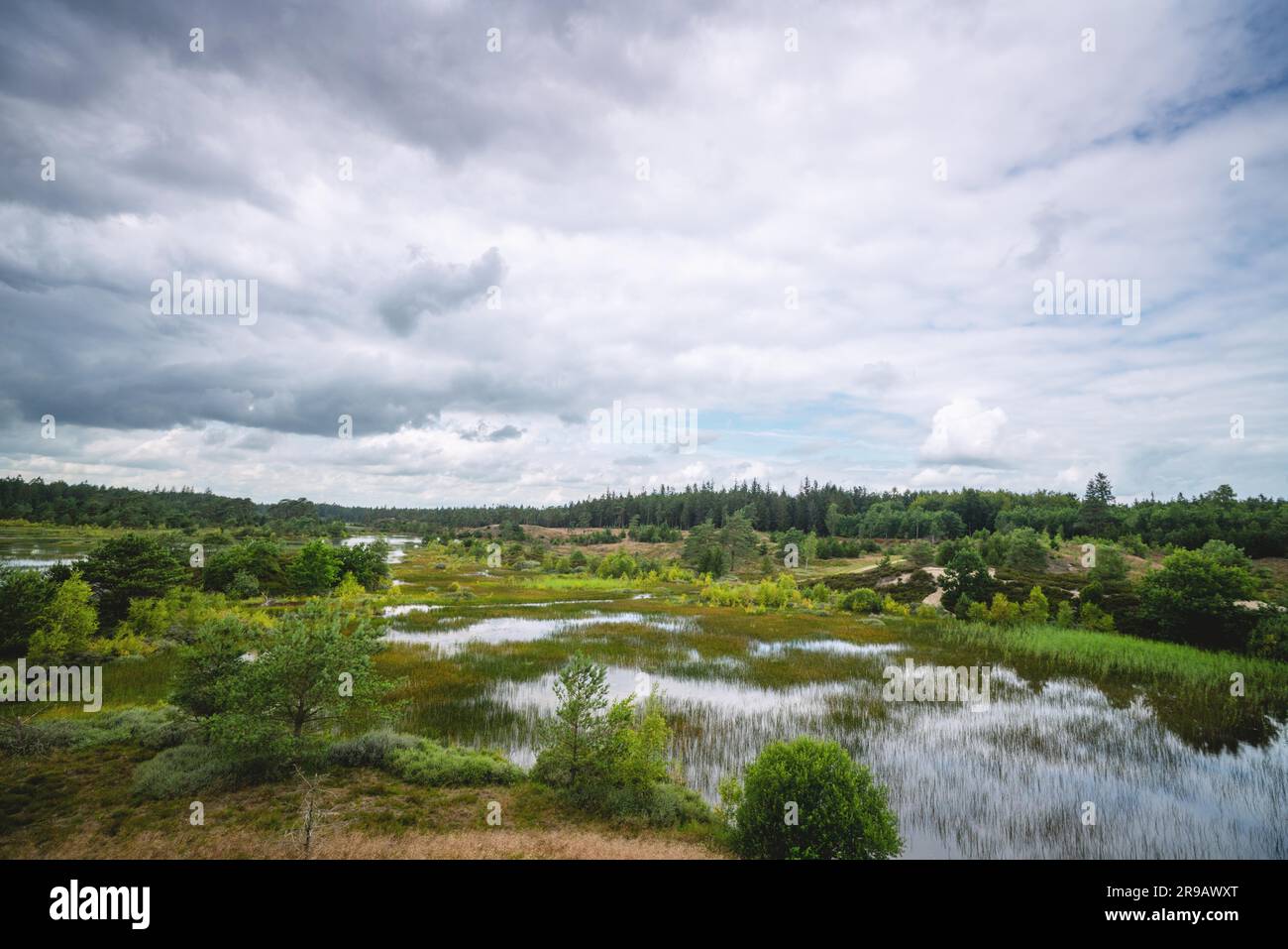 Scandinavian nature hi-res stock photography and images - Alamy