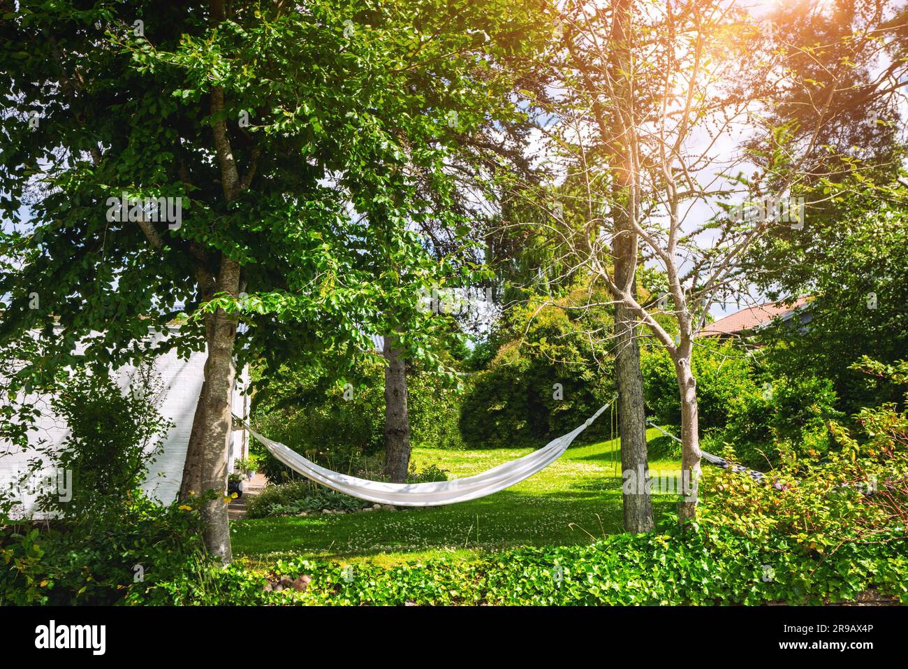 White hammock in a green garden in the summertime hanging between two ...