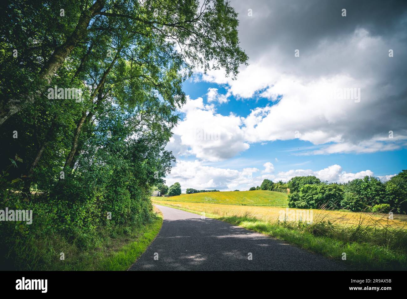 Countryside landscape with an asphalt road in rural environment in the ...