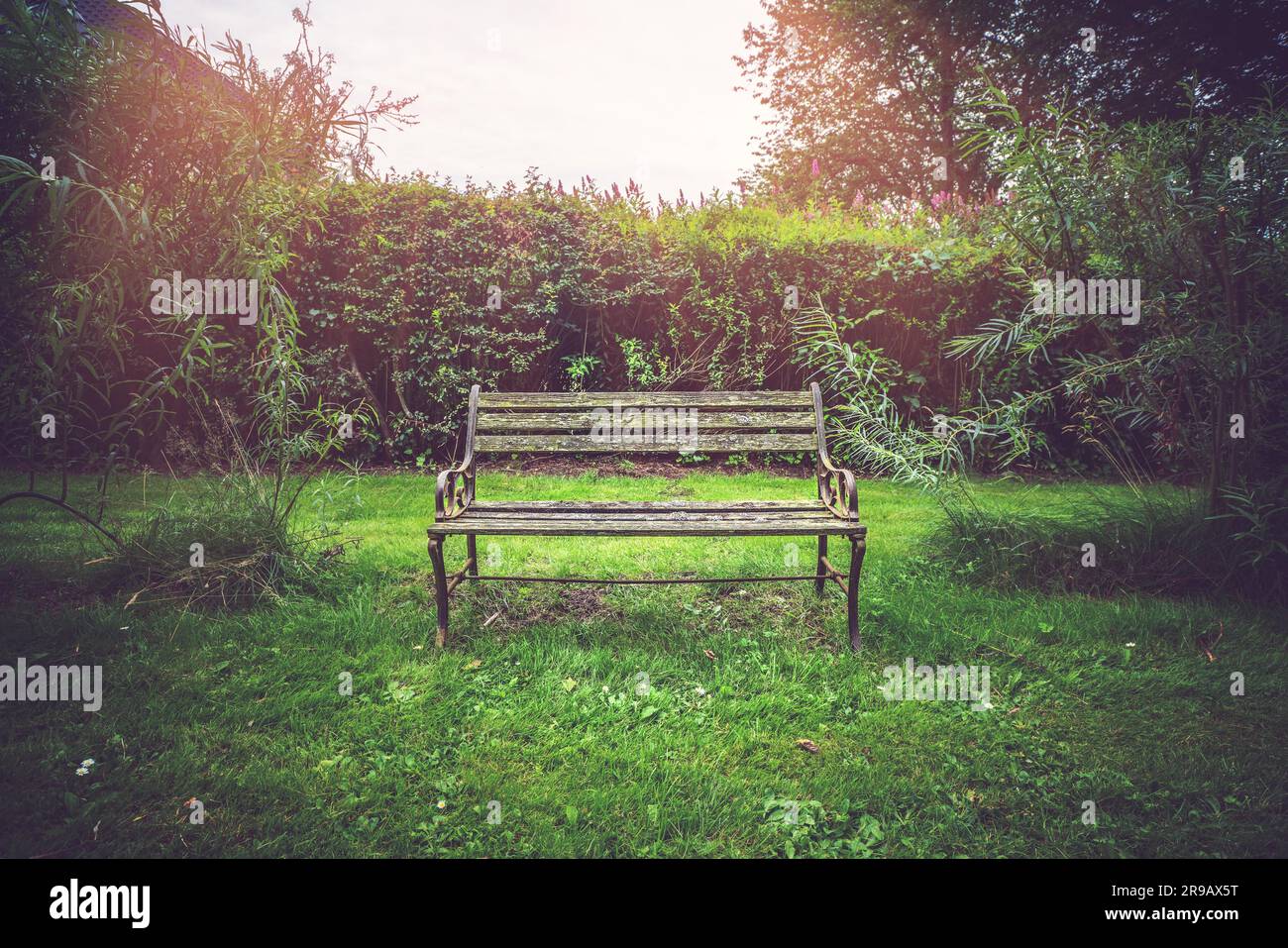 Lawn grass wooden bench seating hi-res stock photography and images - Alamy