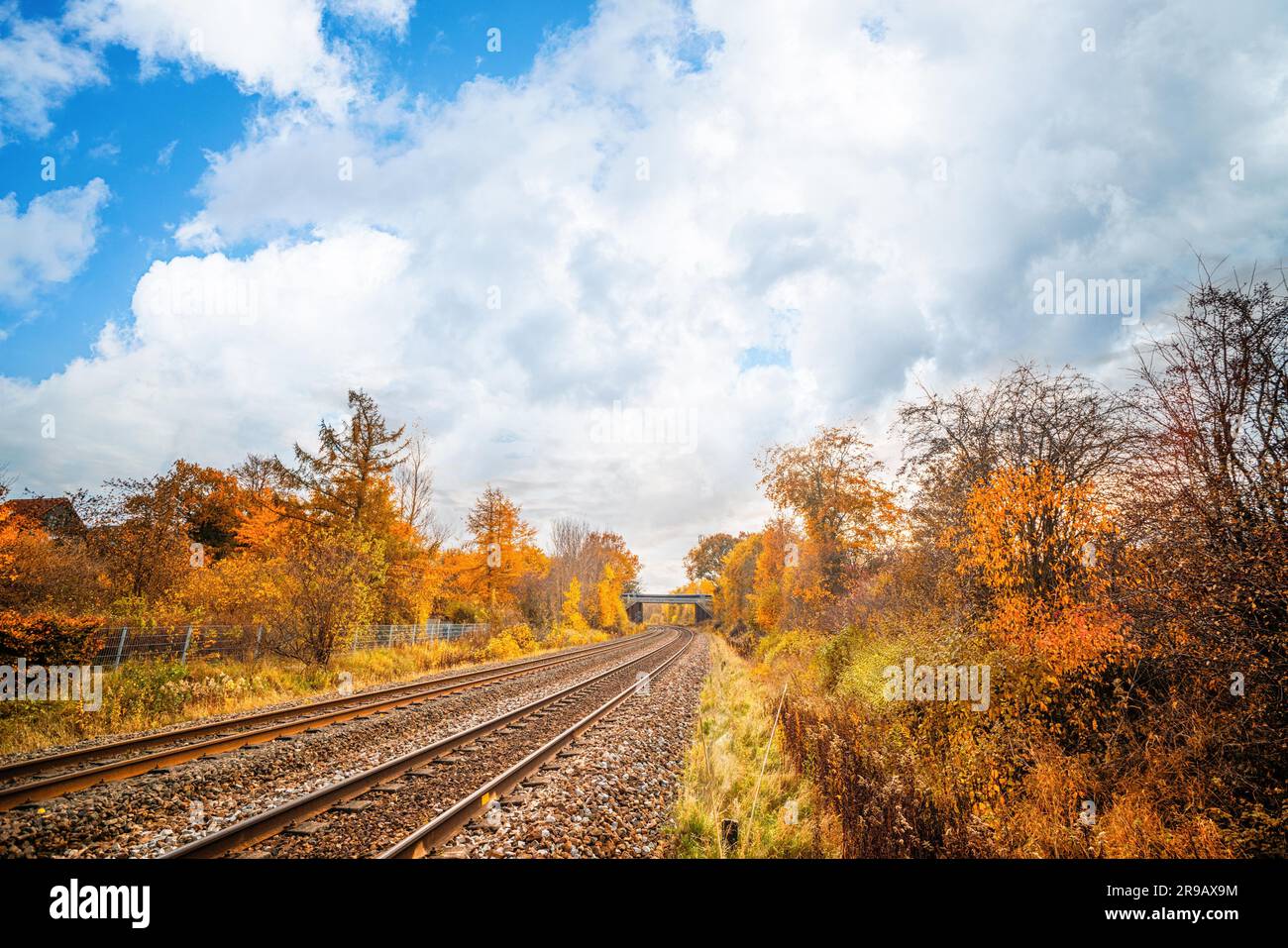 Railroad tracks going through a colorful autumn scenery with with trees ...