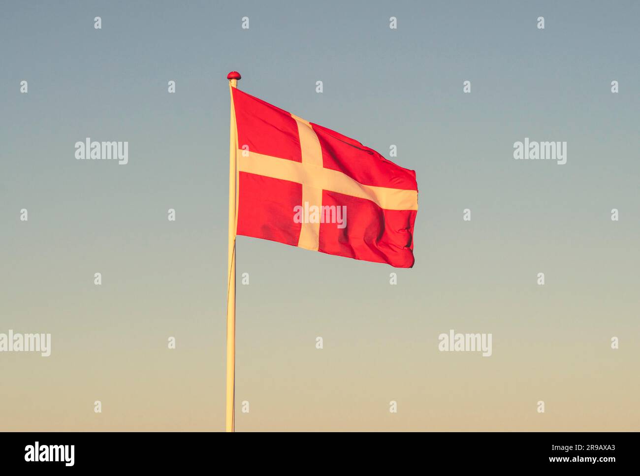 Danish flag at dawn waving in the wind in the sunset on a sunny evening ...
