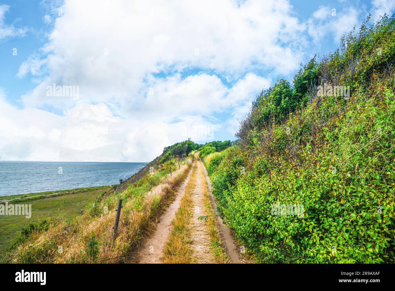 Nature trail on a cliff by the blue sea surrounded by green plants ...