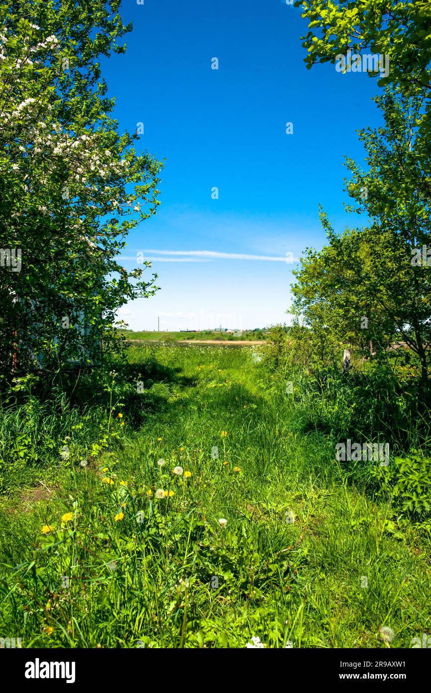 Field path in a colorful scene Stock Photo - Alamy