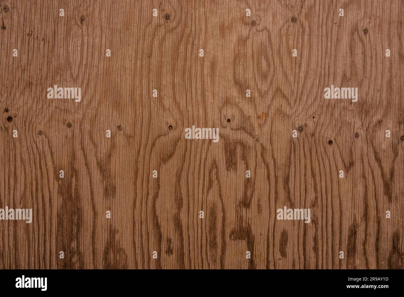 Strong color hi-res stock photography and images - Alamy