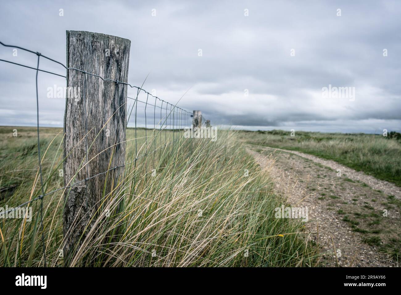 Nature path surrounded by grass and a fence Stock Photo - Alamy