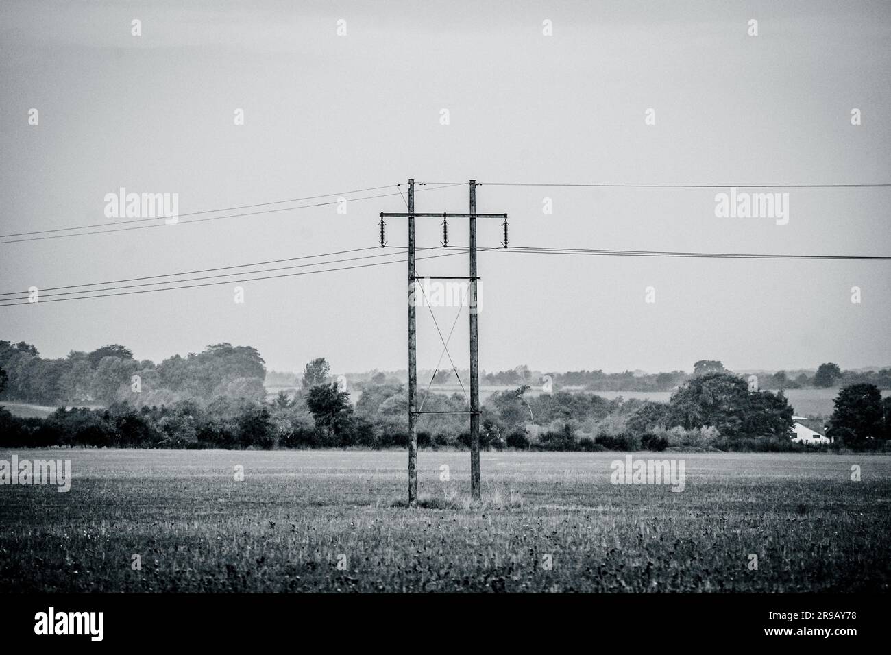 Black and white photo of pylons in a countryside scenery Stock Photo ...