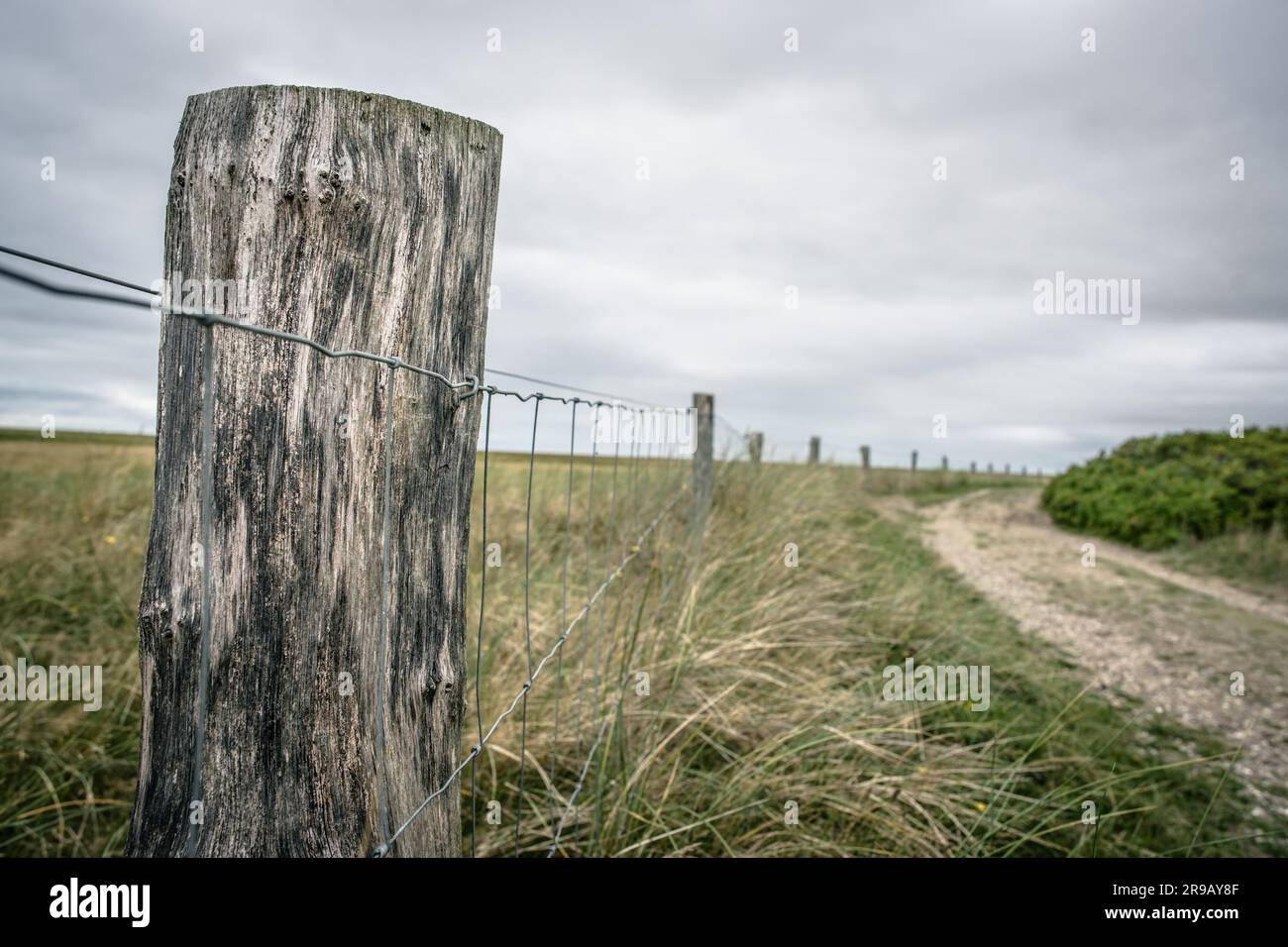 Nature path surrounded by grass and a fence Stock Photo - Alamy