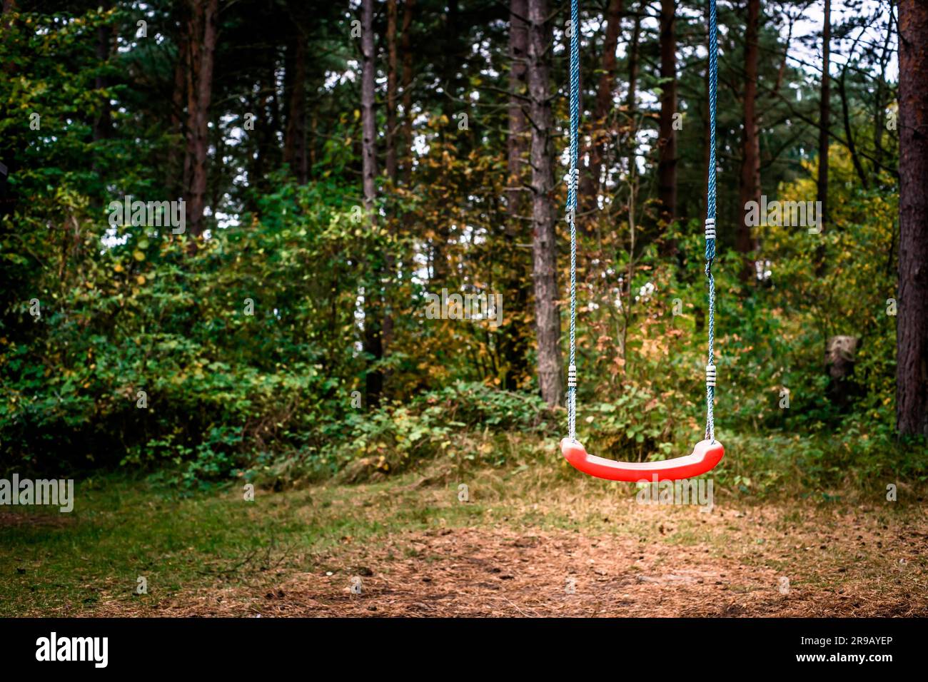 Childrens playground swing in the middle of the forest Stock Photo - Alamy