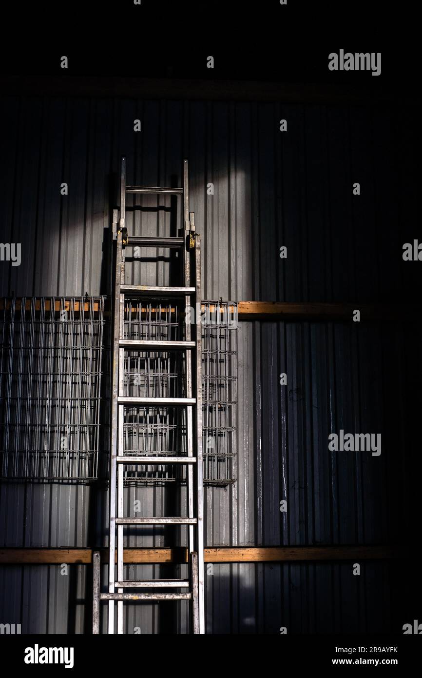 Big metal ladder stadning up against af wall Stock Photo - Alamy