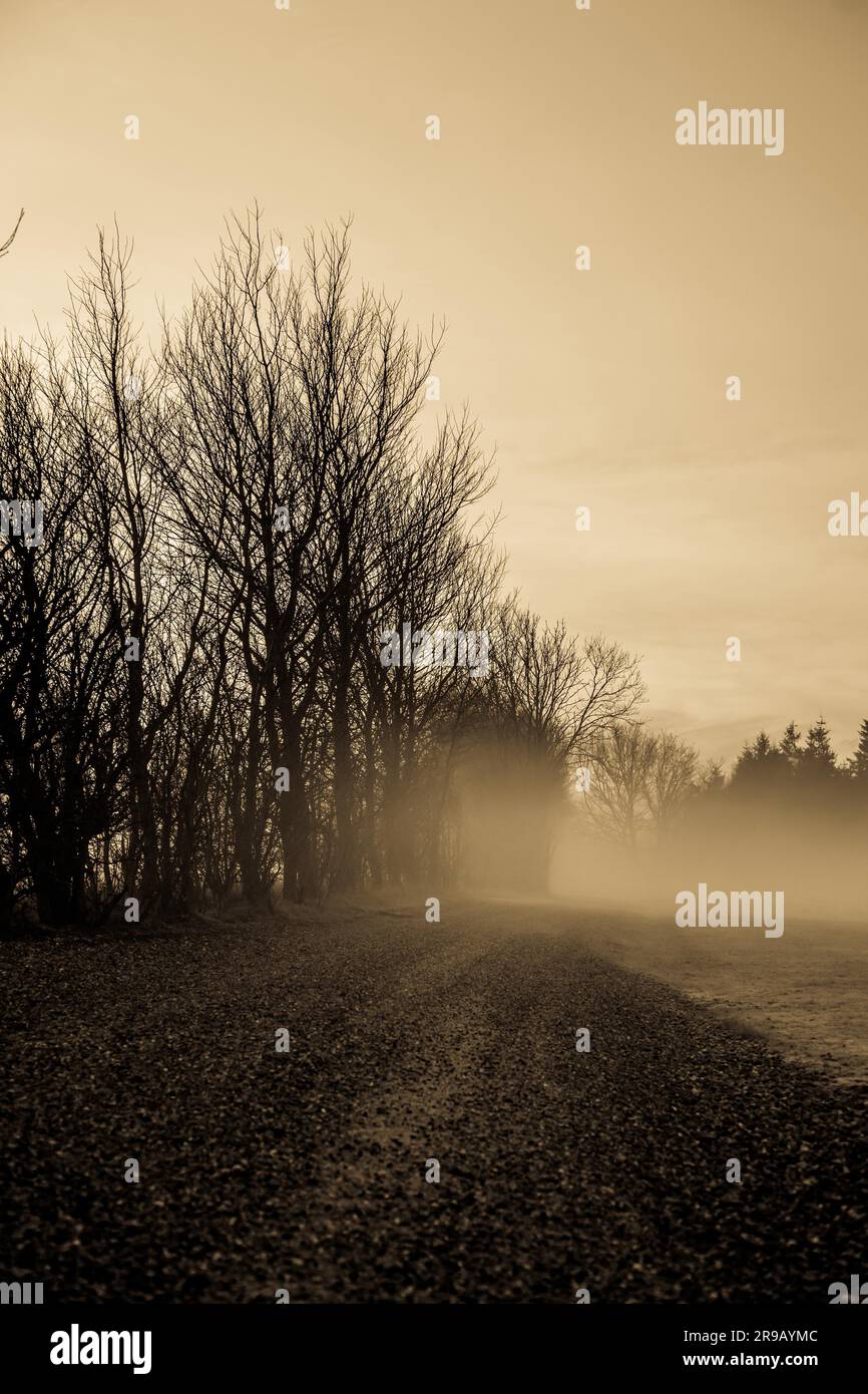 Magical morning mist foliage on a beautiful countryside scenery ...