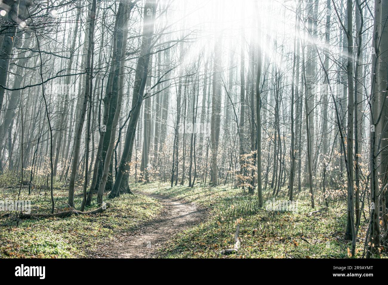 High resolution photo in best quality Stock Photo - Alamy