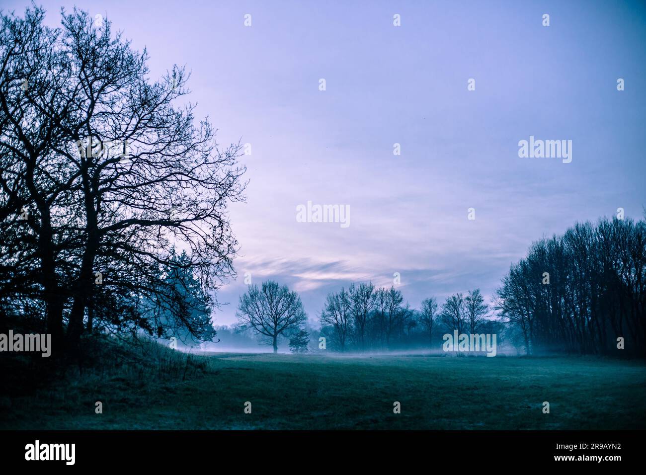 Magical morning mist foliage on a beautiful countryside scenery ...