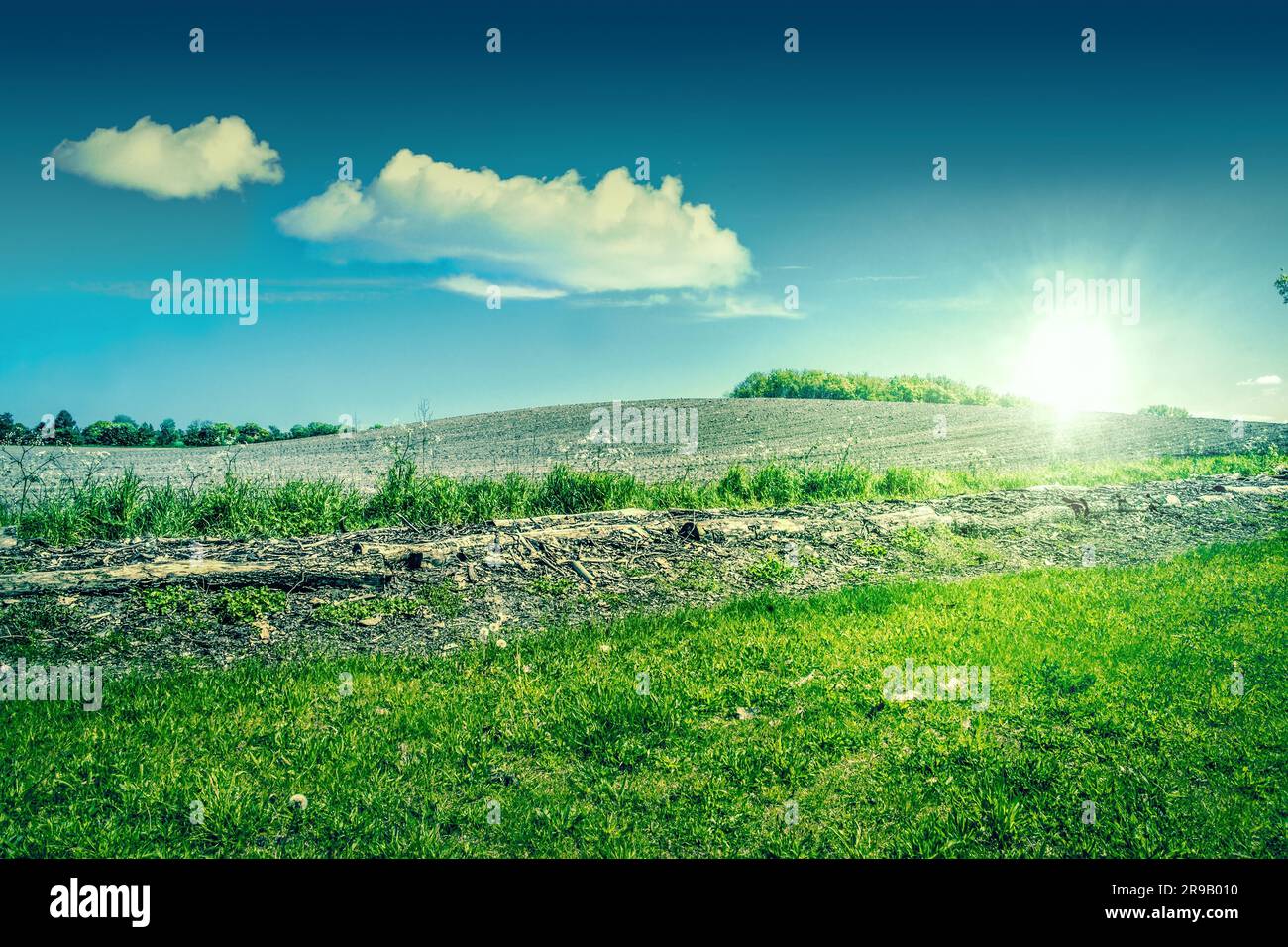 High resolution photo in best quality Stock Photo - Alamy