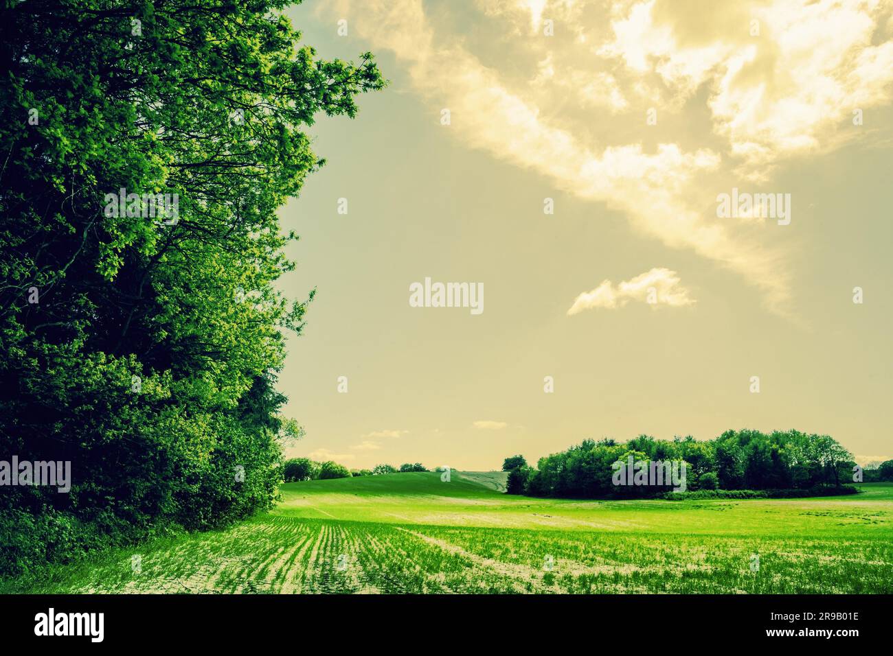 High resolution photo in best quality Stock Photo - Alamy