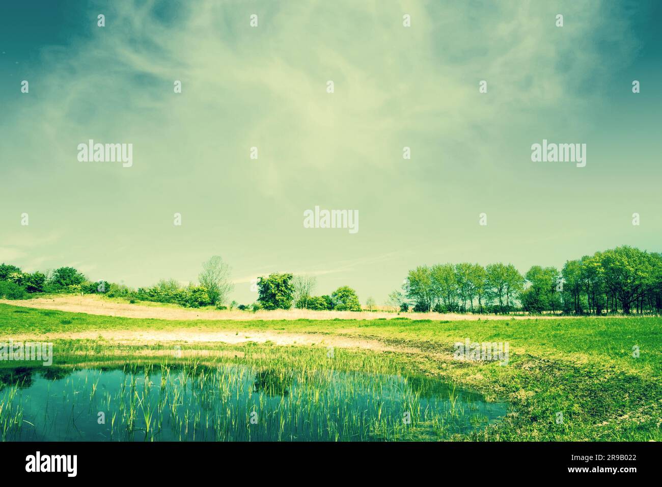 High resolution photo in best quality Stock Photo - Alamy