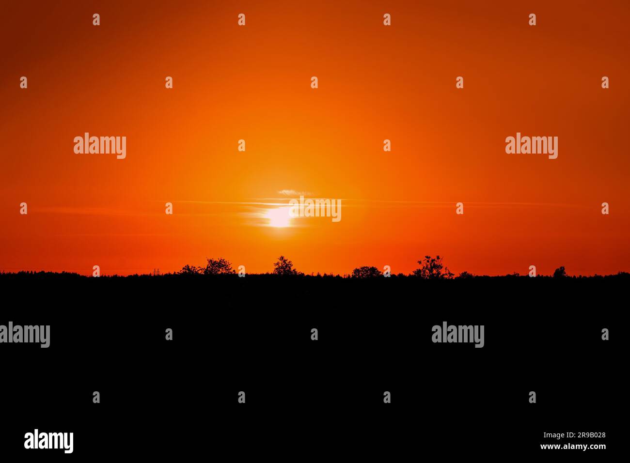 High resolution photo in best quality Stock Photo - Alamy