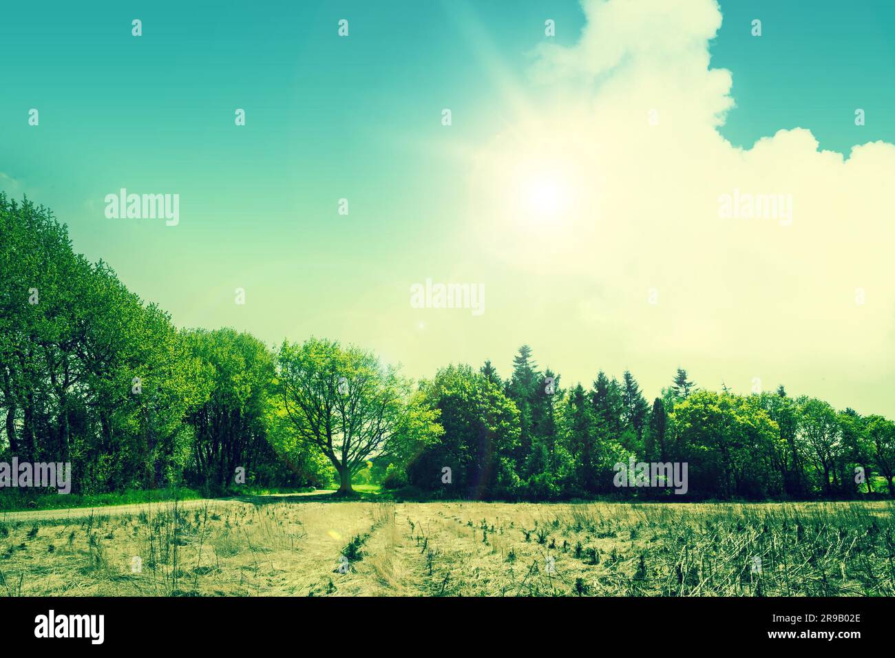 High resolution photo in best quality Stock Photo - Alamy