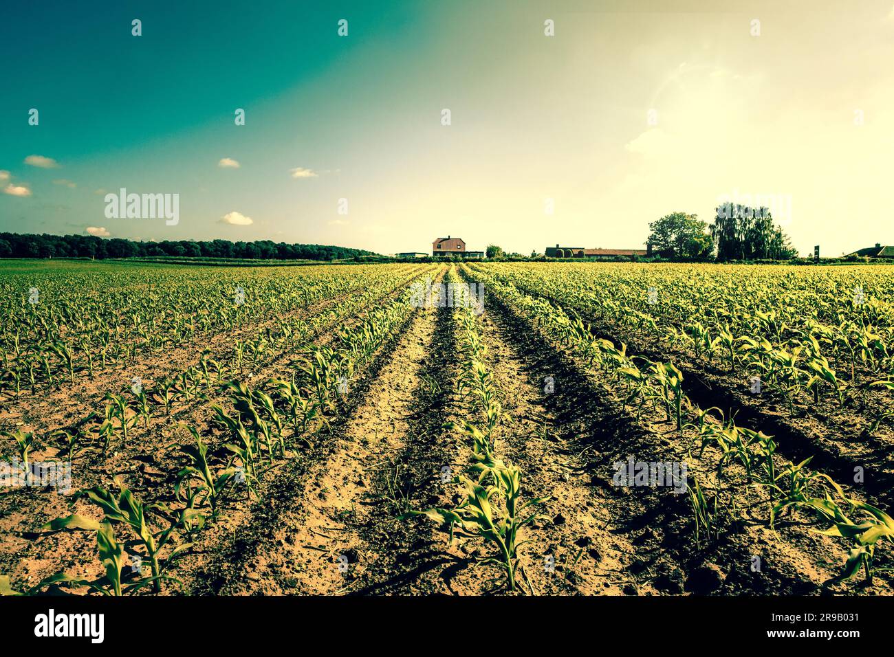 High resolution photo in best quality Stock Photo - Alamy