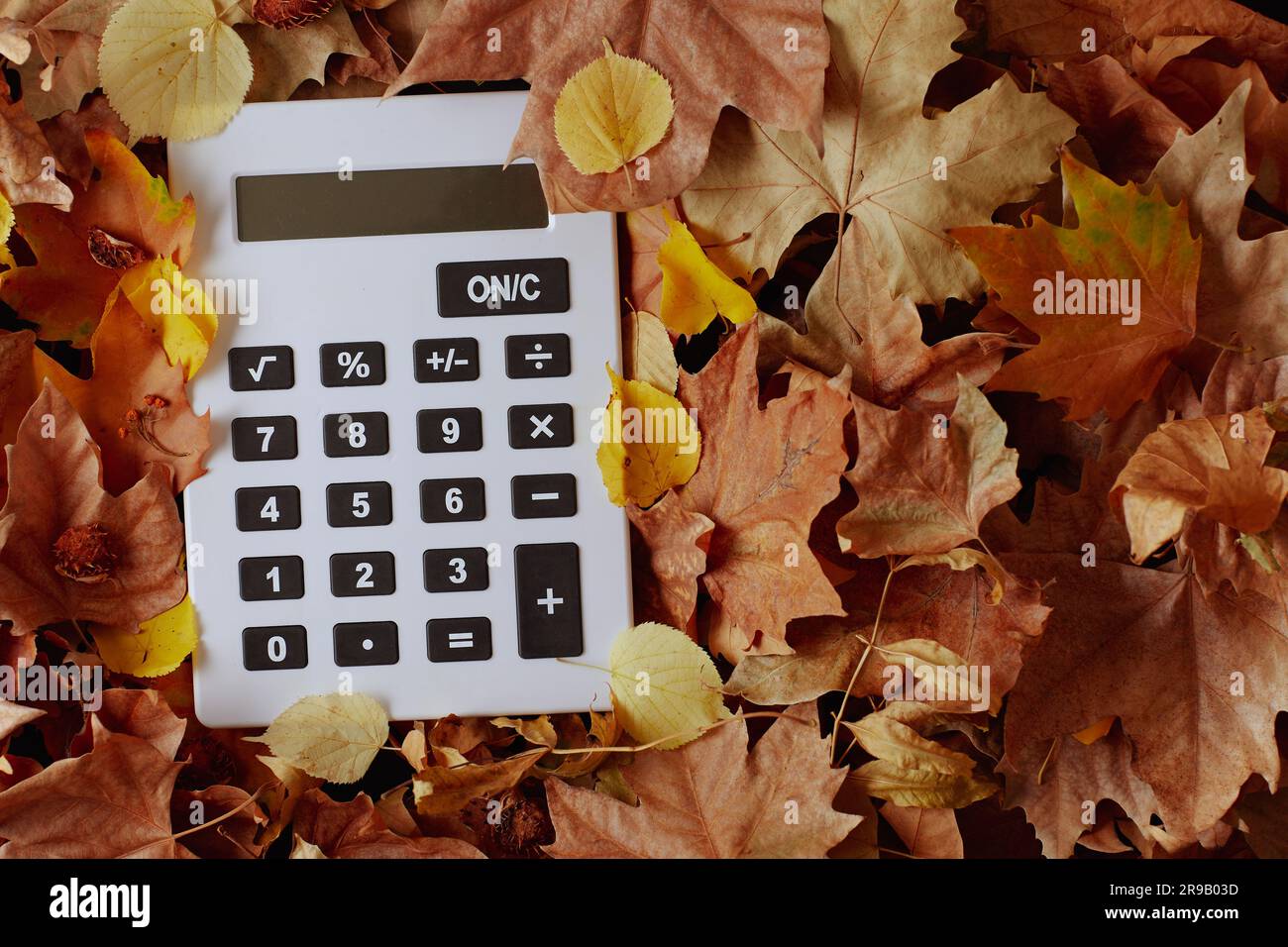 autumn background with calculator and leaves Stock Photo - Alamy