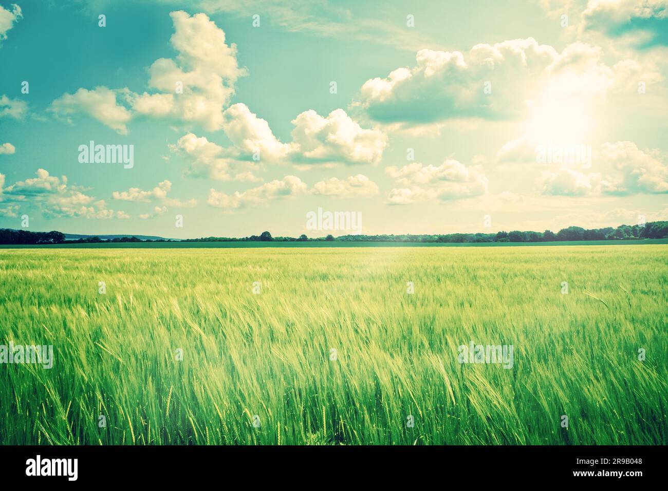 High resolution photo in best quality Stock Photo - Alamy