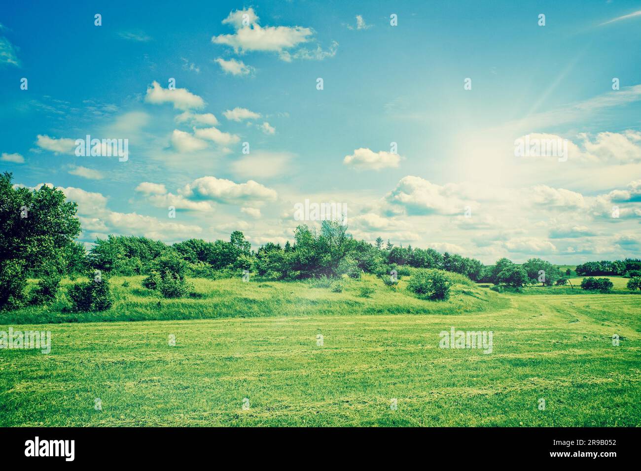 High resolution photo in best quality Stock Photo - Alamy