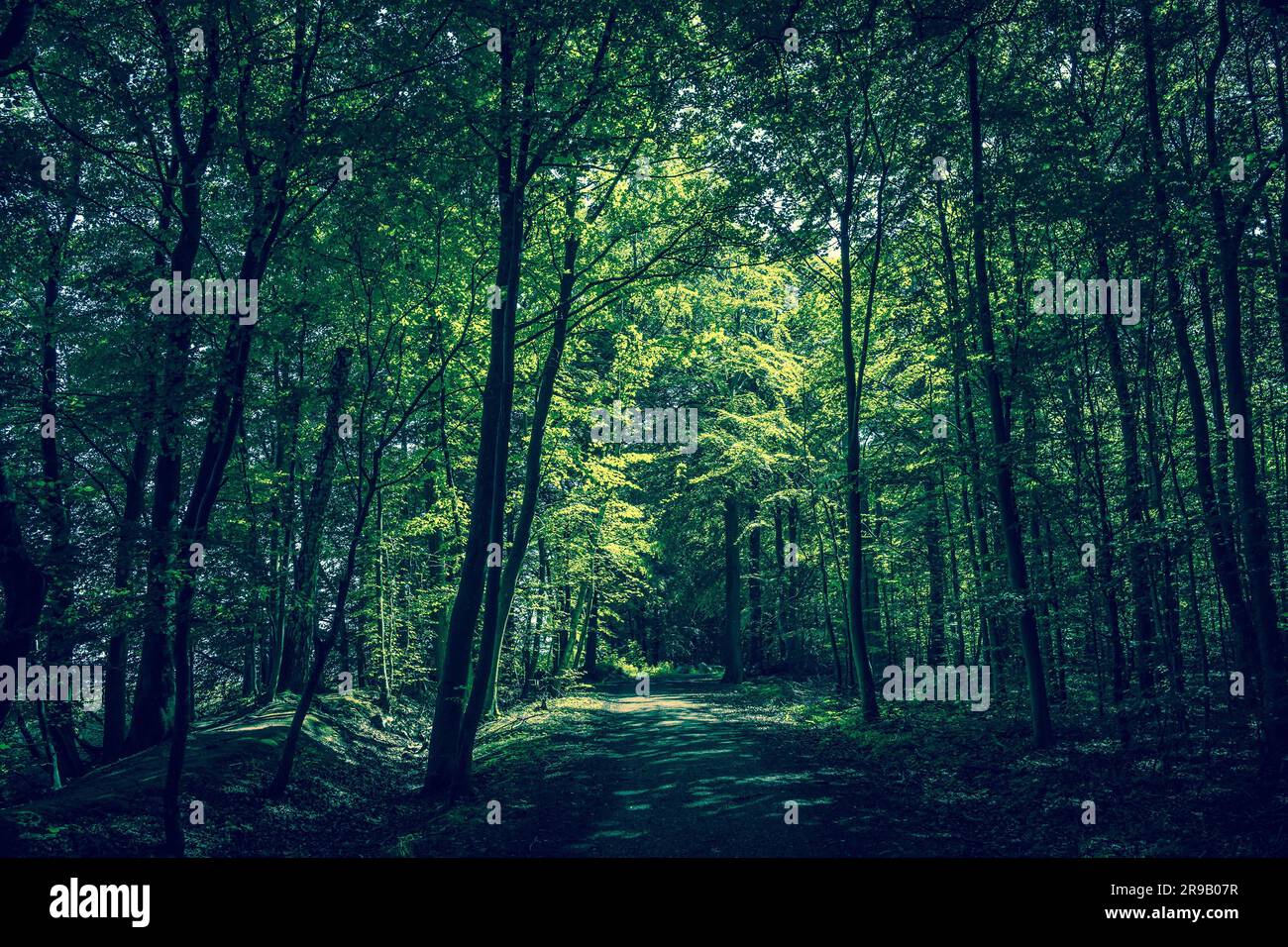 High resolution photo in best quality Stock Photo - Alamy