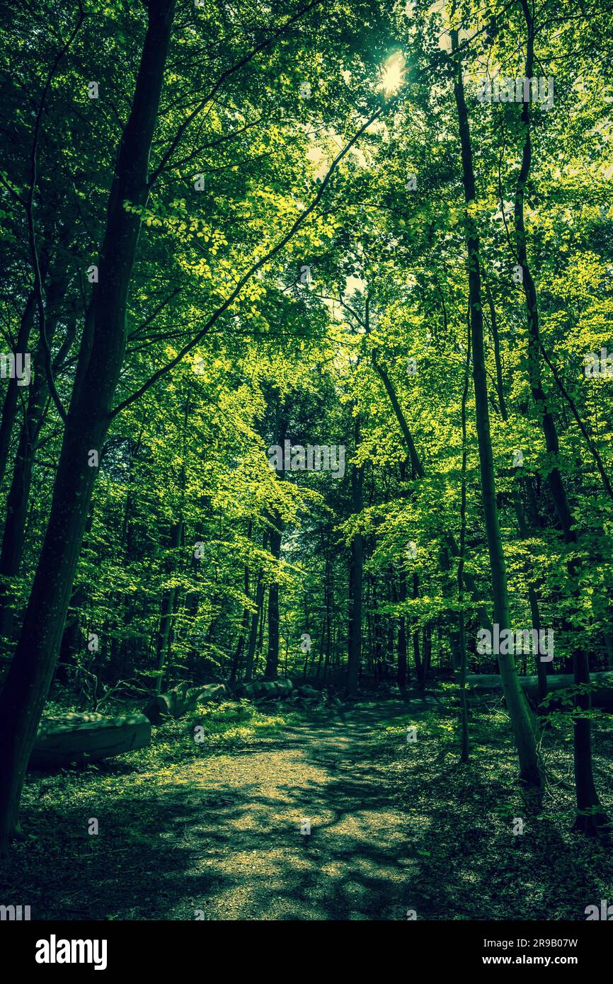 High resolution photo in best quality Stock Photo - Alamy