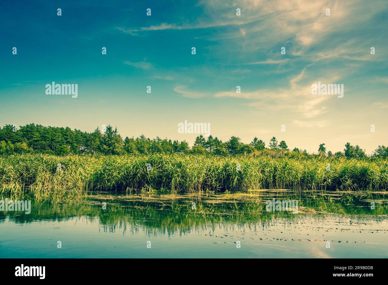 High resolution photo in best quality Stock Photo - Alamy