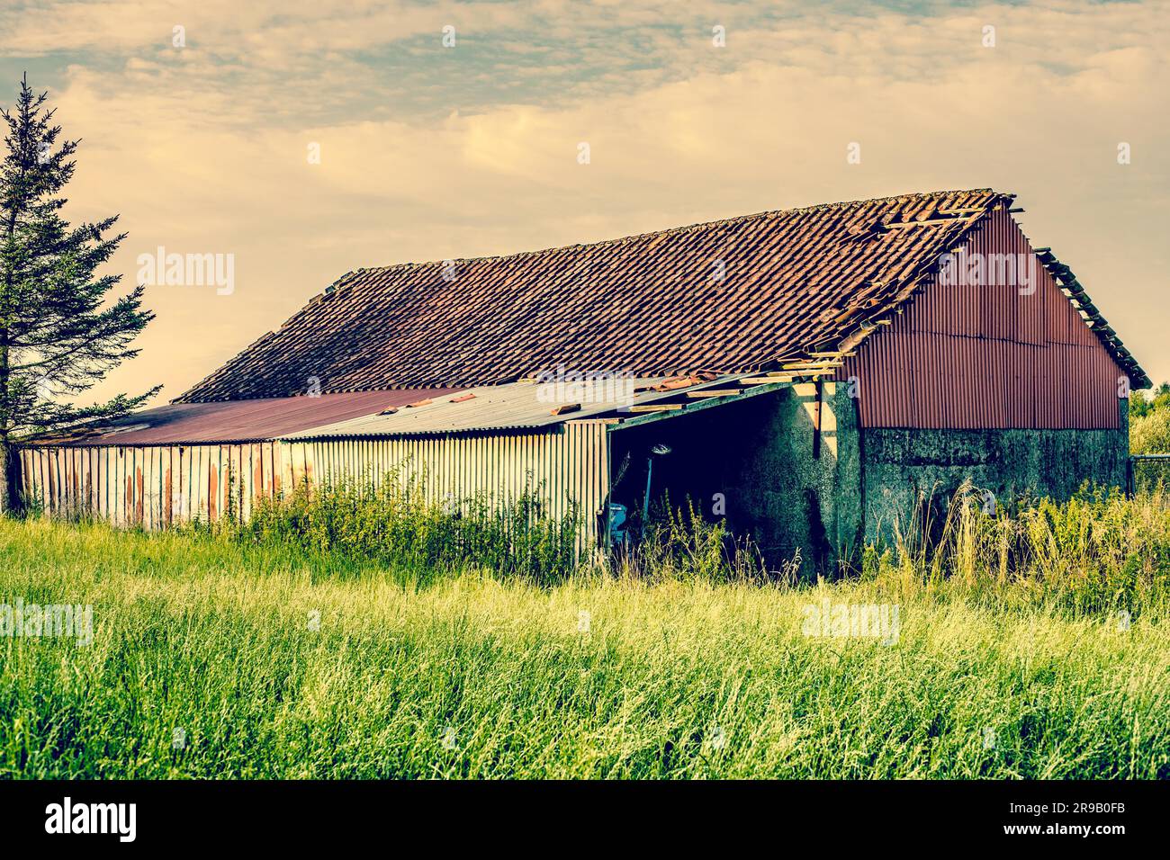 Old barn house surrounded by tall grass Stock Photo - Alamy