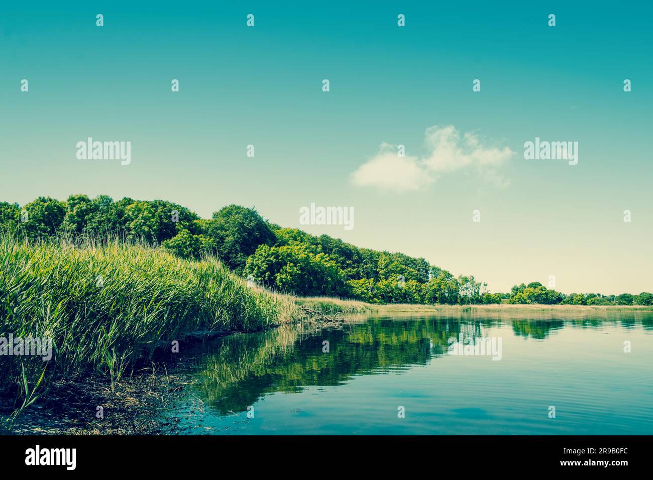 High resolution photo in best quality Stock Photo - Alamy