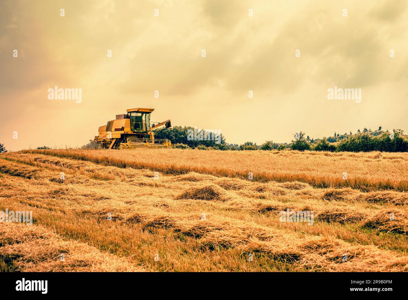 Harvester machine working harvest hi-res stock photography and images ...