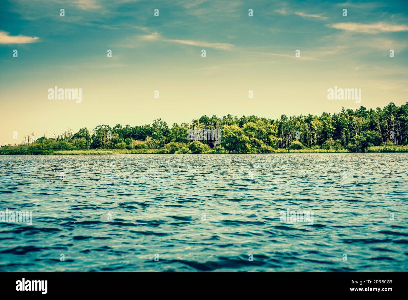 Blue water with trees at the shore Stock Photo - Alamy