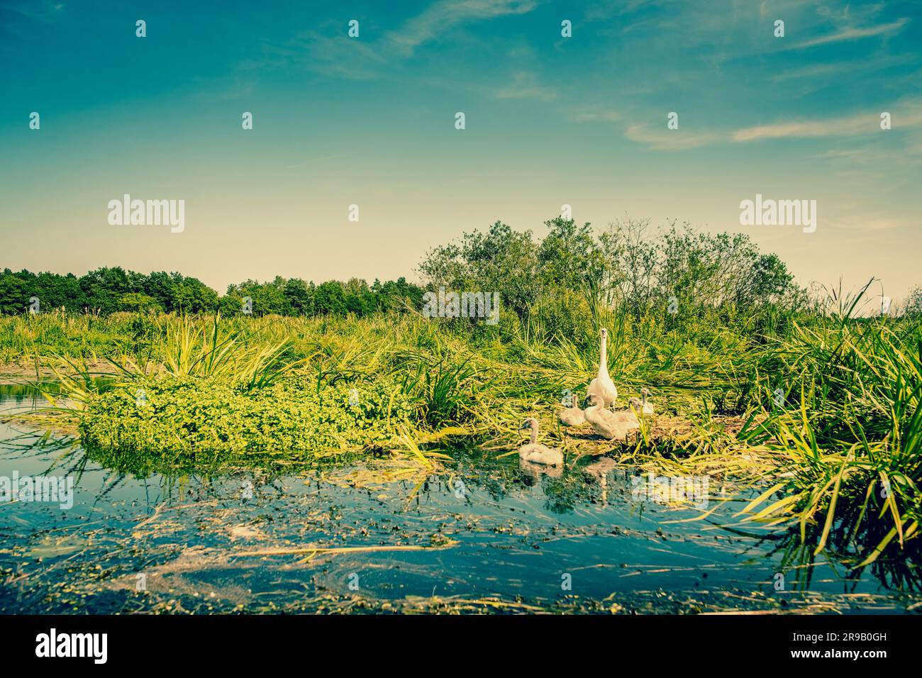 High resolution photo in best quality Stock Photo - Alamy