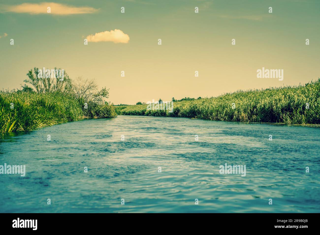 Strong river hi-res stock photography and images - Alamy