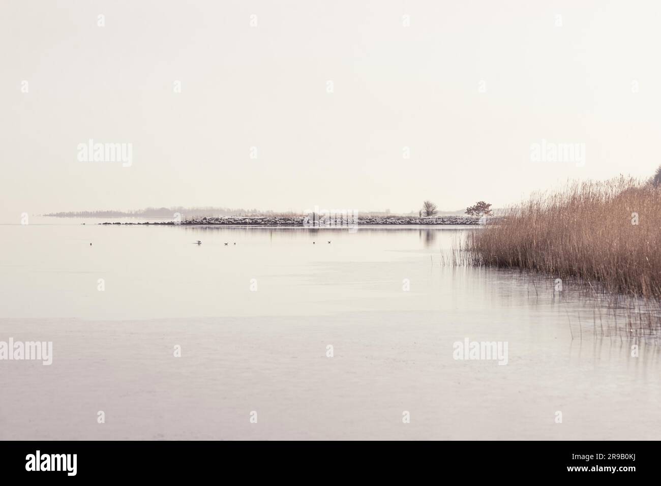 Idyllic lake scenery hi-res stock photography and images - Alamy