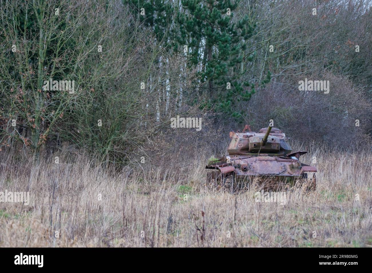 Tank in nature hi-res stock photography and images - Alamy