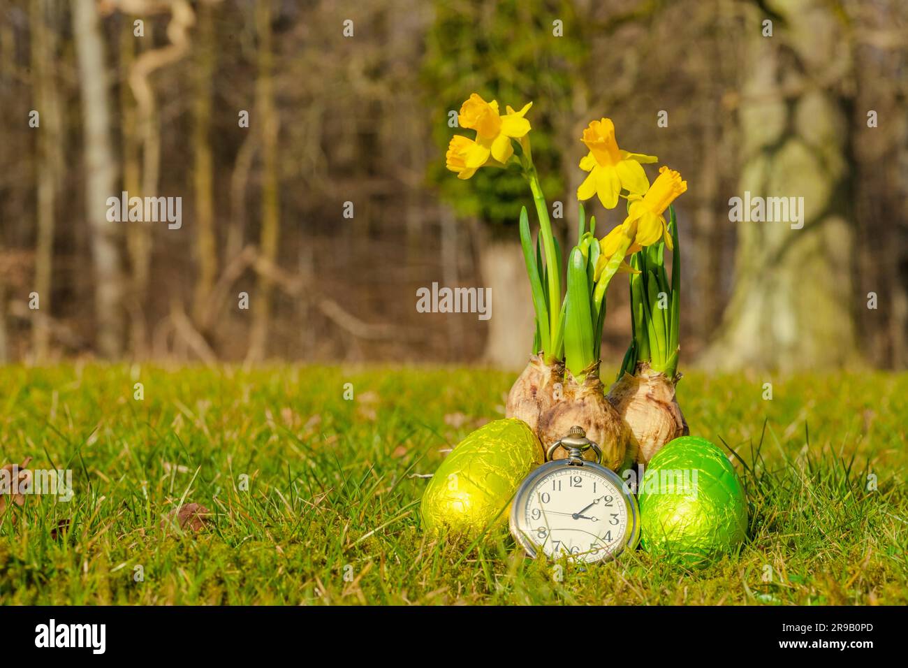 Daffodils and easter eggs with a clock Stock Photo - Alamy