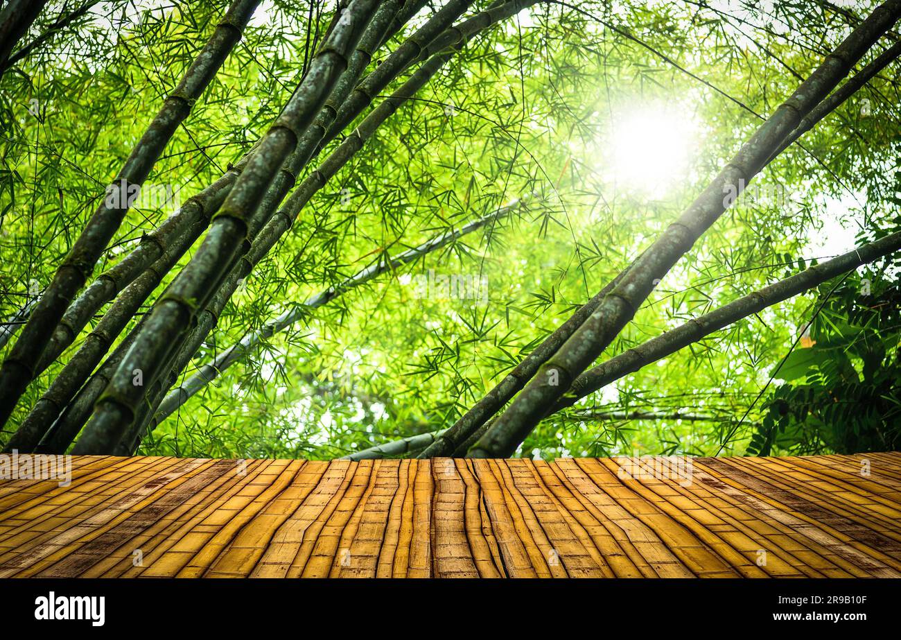 Bamboo stage in a green tropical rainforest Stock Photo - Alamy