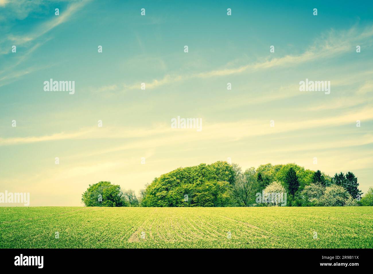 Green fields with trees hi-res stock photography and images - Alamy