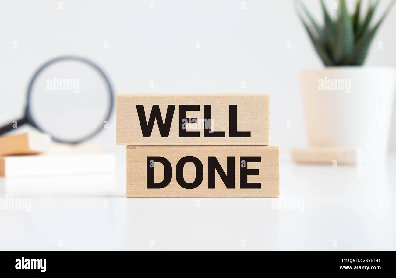 On a light background, a plant in a pot and two wooden blocks with the ...